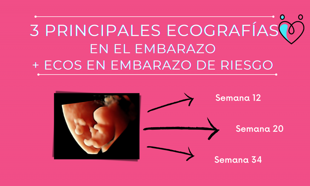 LAS 3 PRINCIPALES ECOGRAFIAS DEL EMBARAZO + ECOS EN EMBARAZO DE RIESGO ...